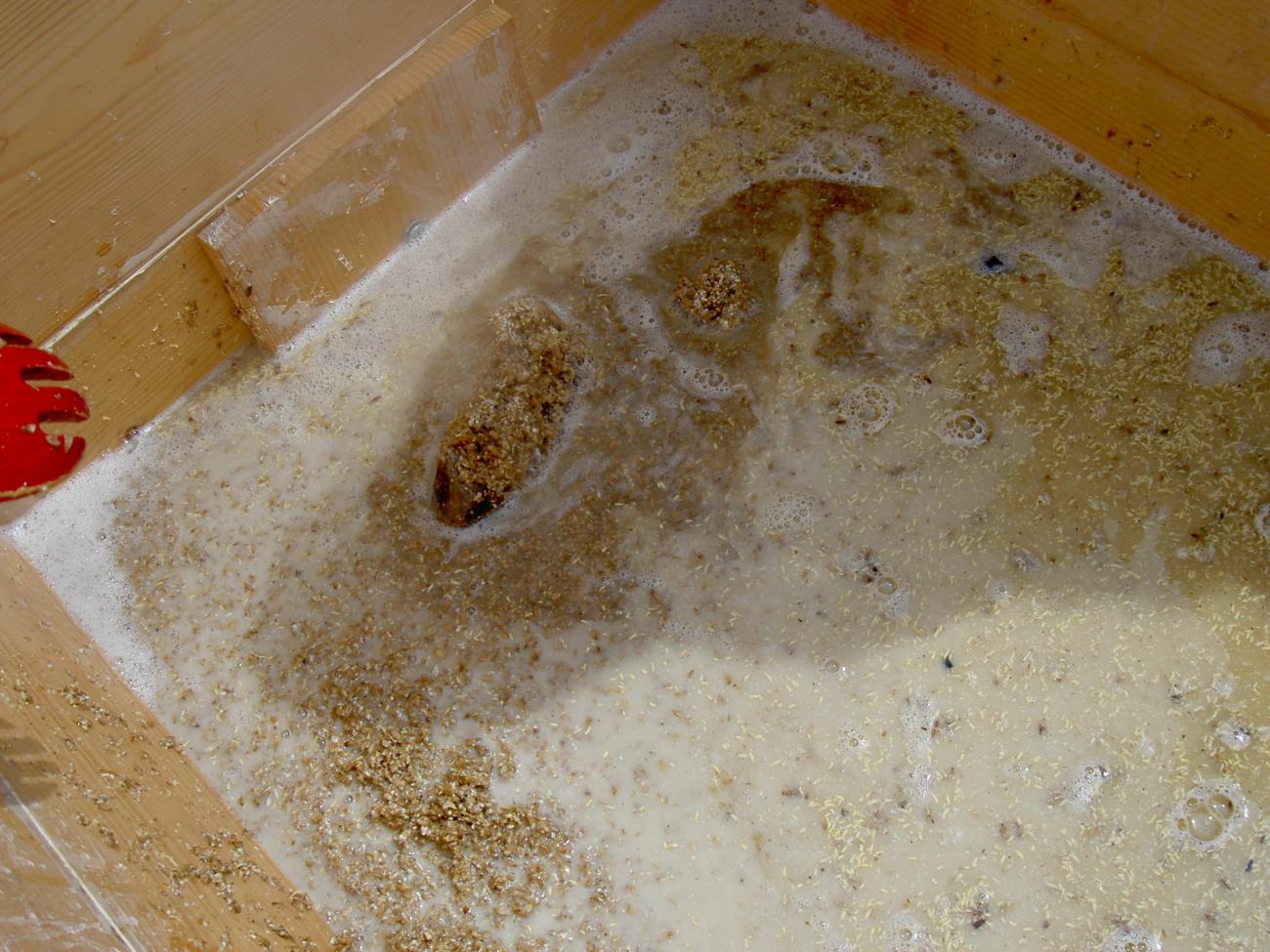 The Ancient Magic of Malt: Making Malt Sugars and Ale from Grain Using ...