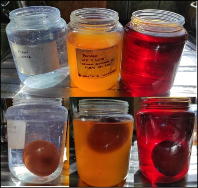 An Experimental Exploration of the Earliest Soapmaking | The EXARC Journal