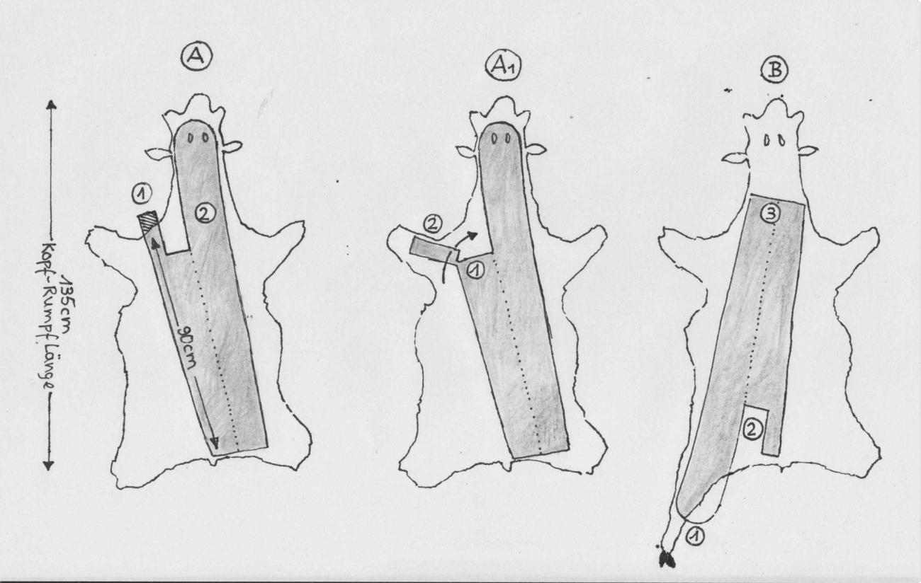 The Arrow Quiver of the Iceman Reconstruction Attempts and the Special ...