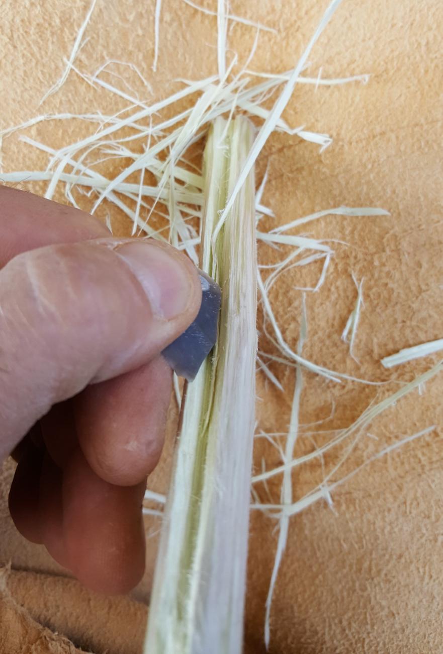 The Arrow Quiver of the Iceman Reconstruction Attempts and the Special ...