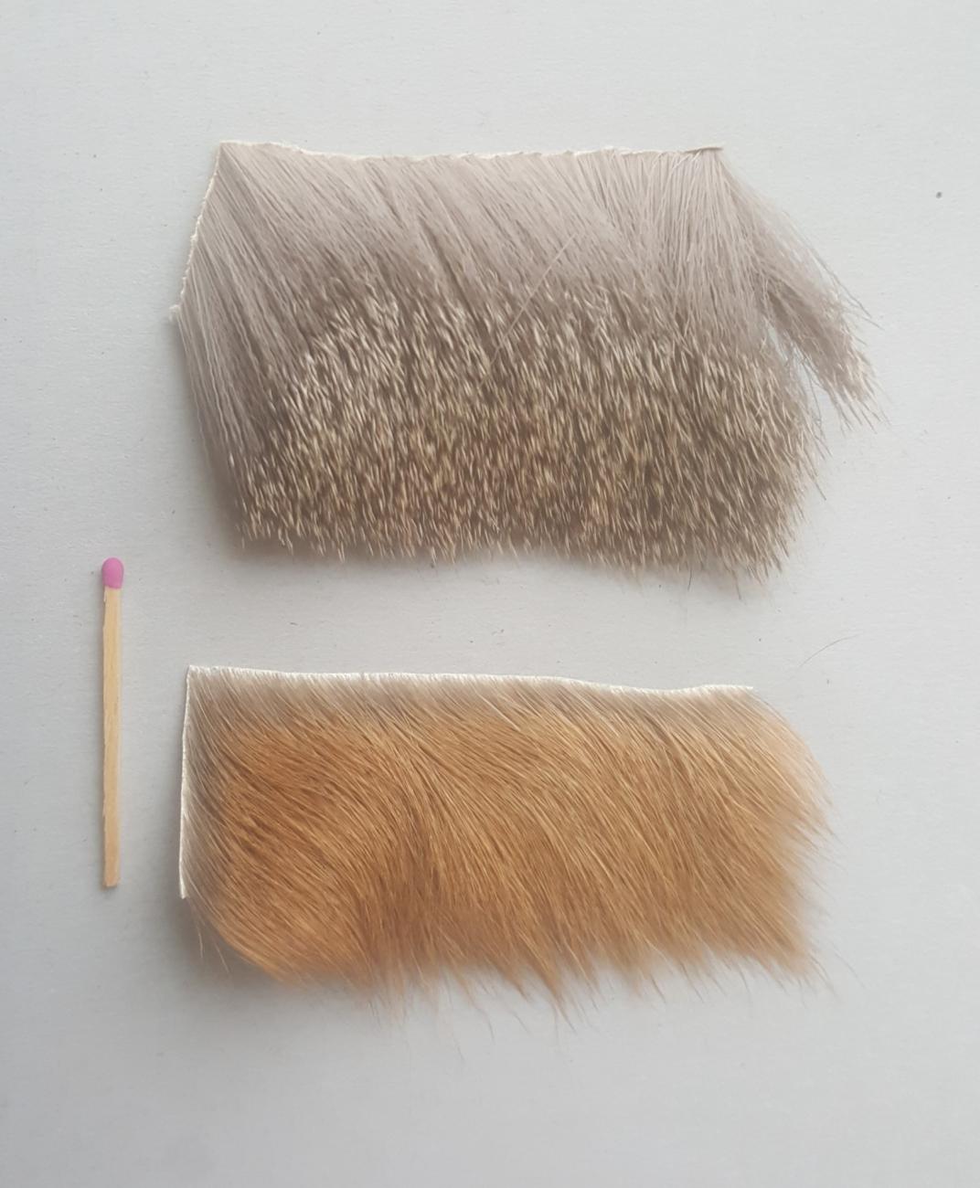 The Arrow Quiver of the Iceman Reconstruction Attempts and the Special ...
