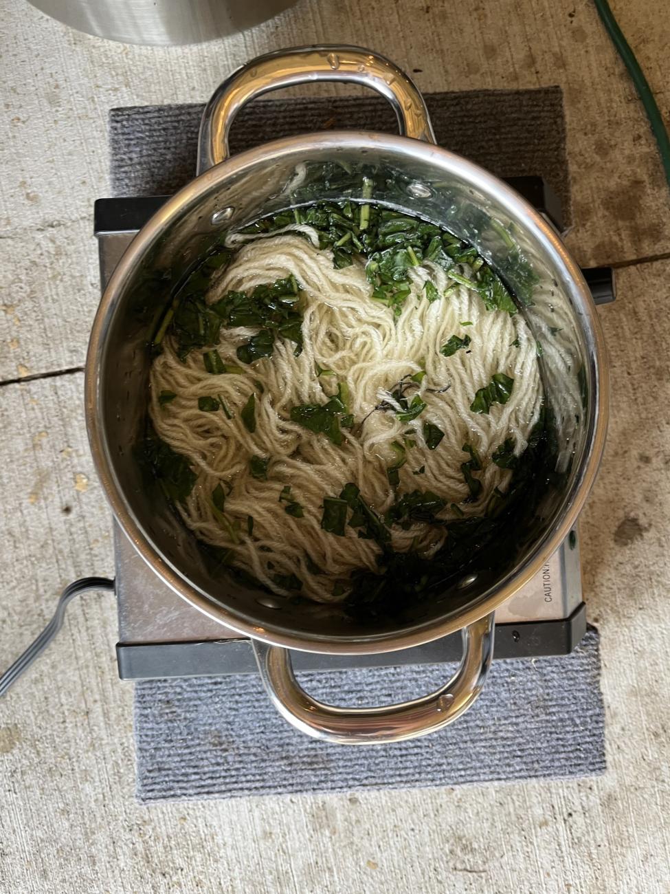 Adventures in Woad: Woad Dyeing in the Ancient, Medieval, and Modern ...