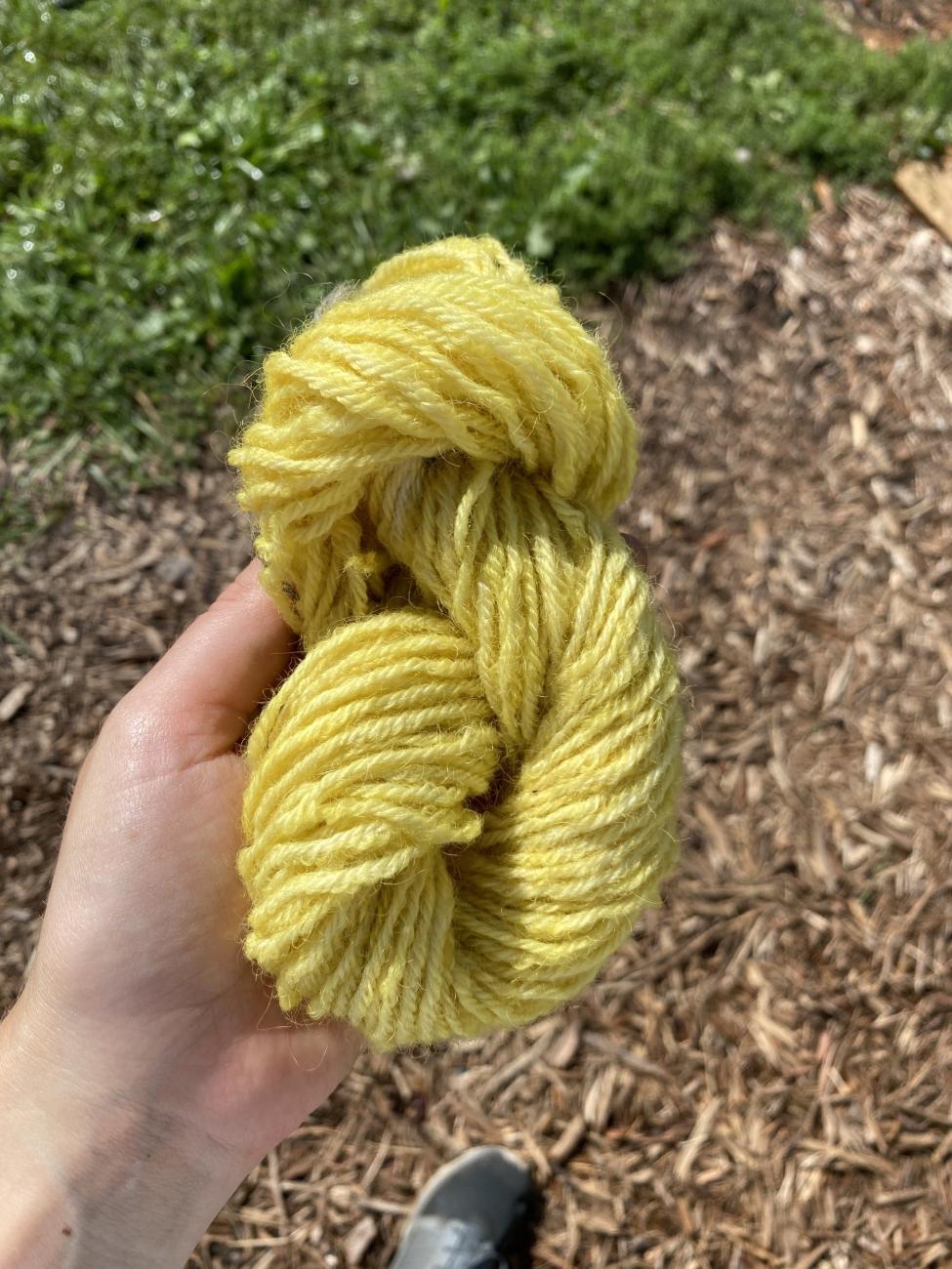 Adventures in Woad: Woad Dyeing in the Ancient, Medieval, and Modern ...