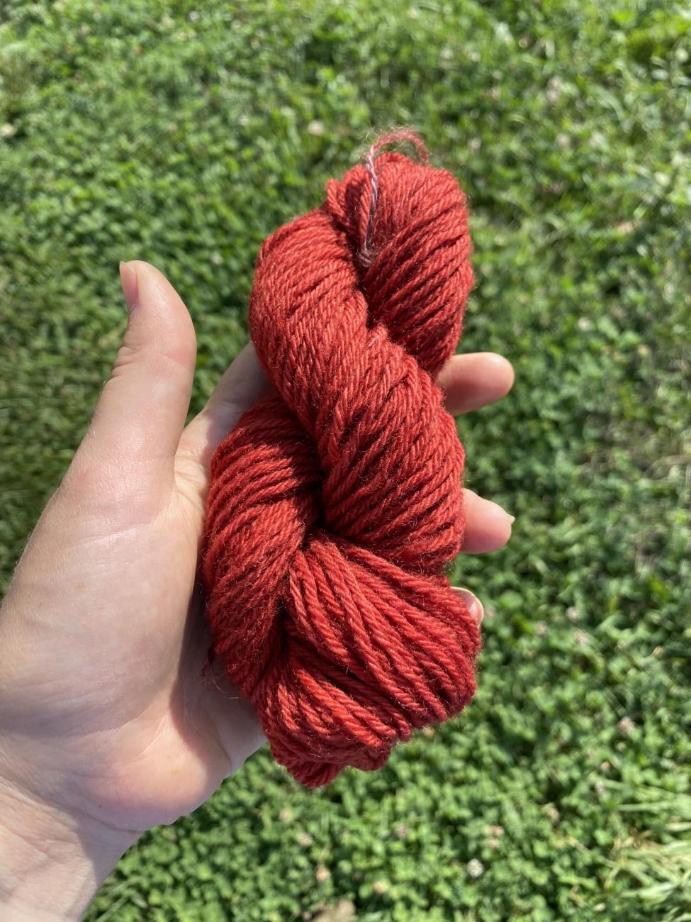 Adventures in Woad: Woad Dyeing in the Ancient, Medieval, and Modern ...