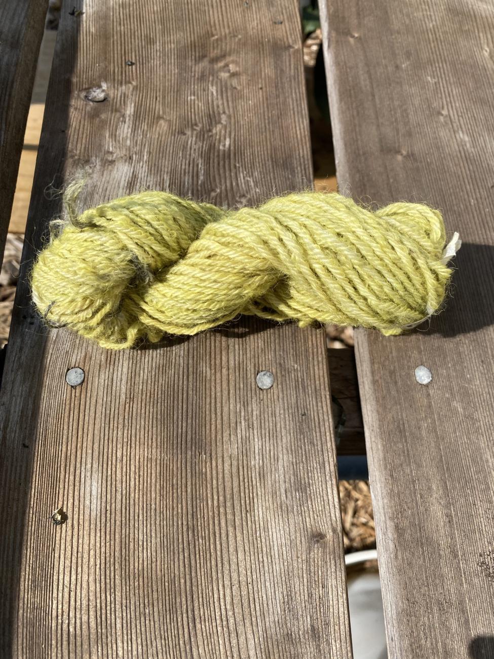 Adventures in Woad: Woad Dyeing in the Ancient, Medieval, and Modern ...
