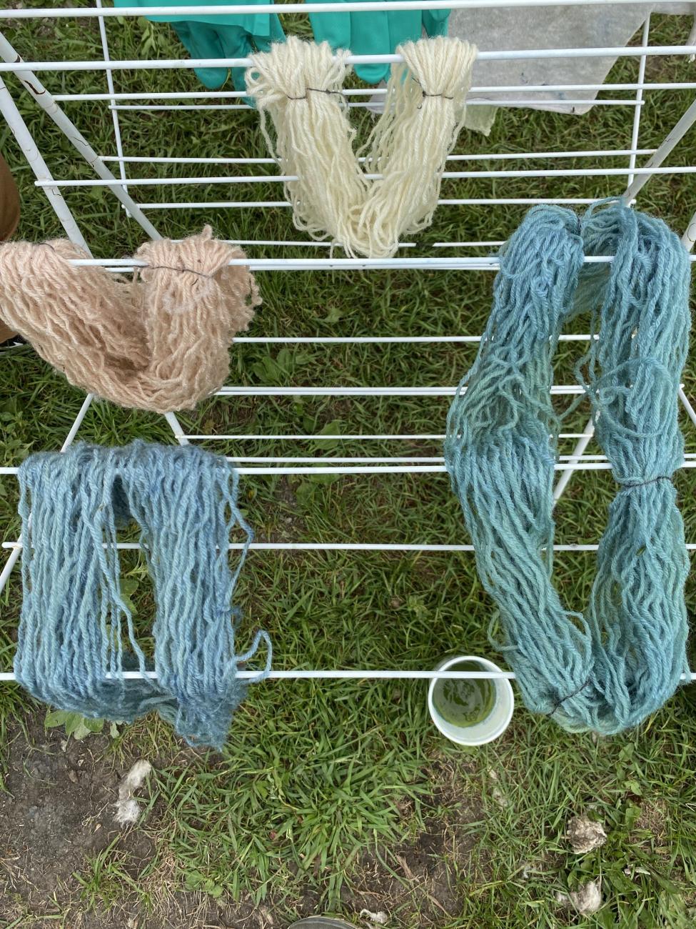 Adventures in Woad: Woad Dyeing in the Ancient, Medieval, and Modern ...