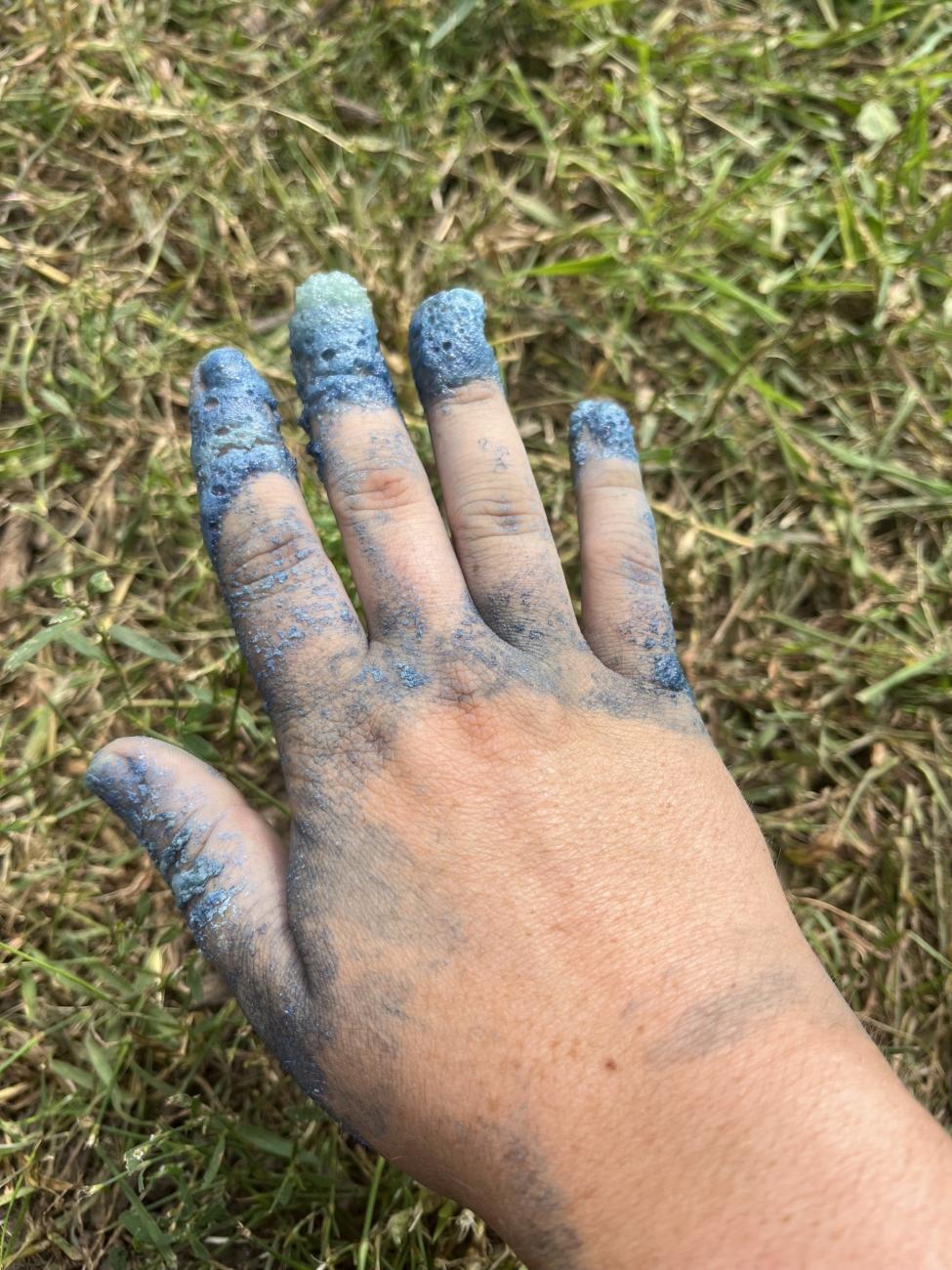 Adventures in Woad: Woad Dyeing in the Ancient, Medieval, and Modern ...
