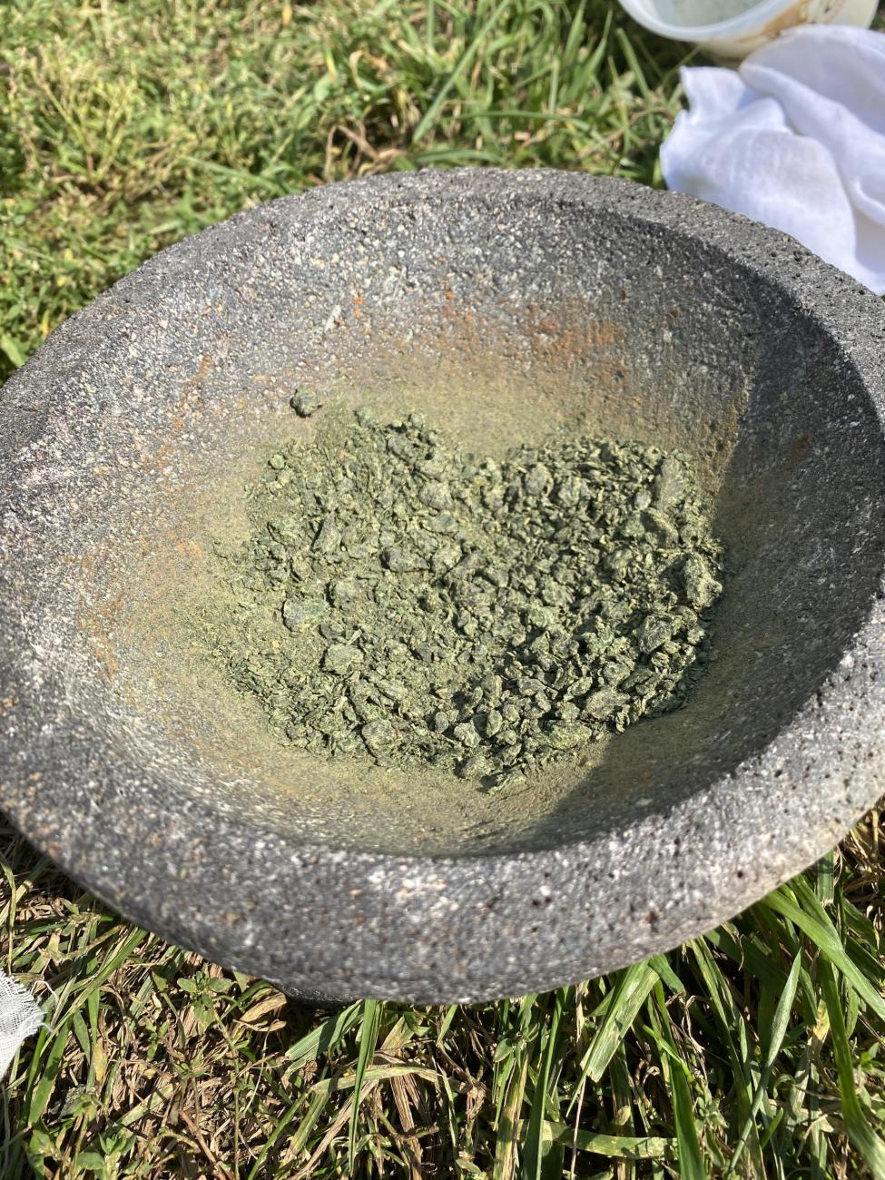 Adventures in Woad: Woad Dyeing in the Ancient, Medieval, and Modern ...