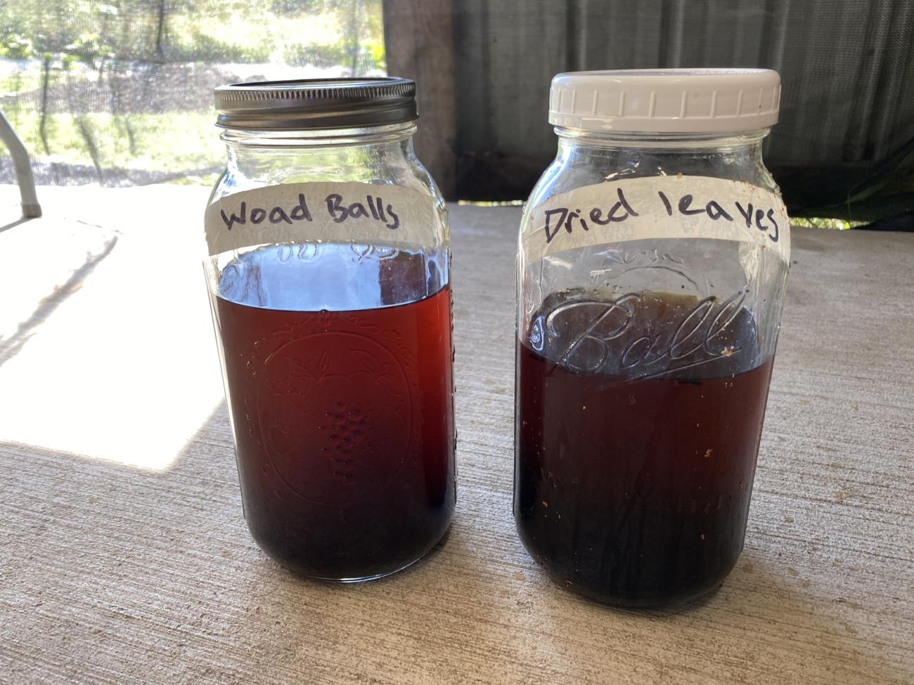 Adventures in Woad: Woad Dyeing in the Ancient, Medieval, and Modern ...