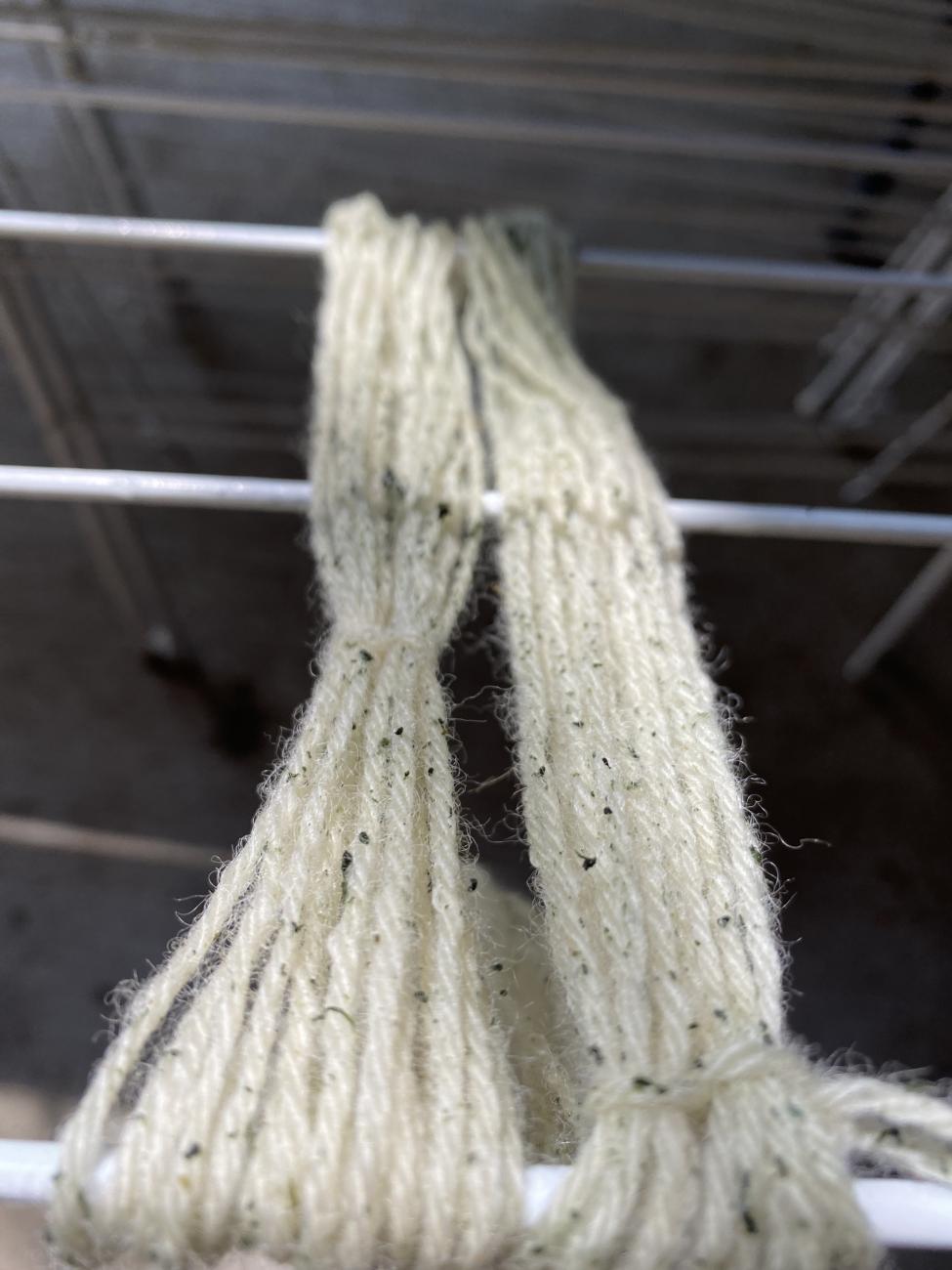 Adventures in Woad: Woad Dyeing in the Ancient, Medieval, and Modern ...