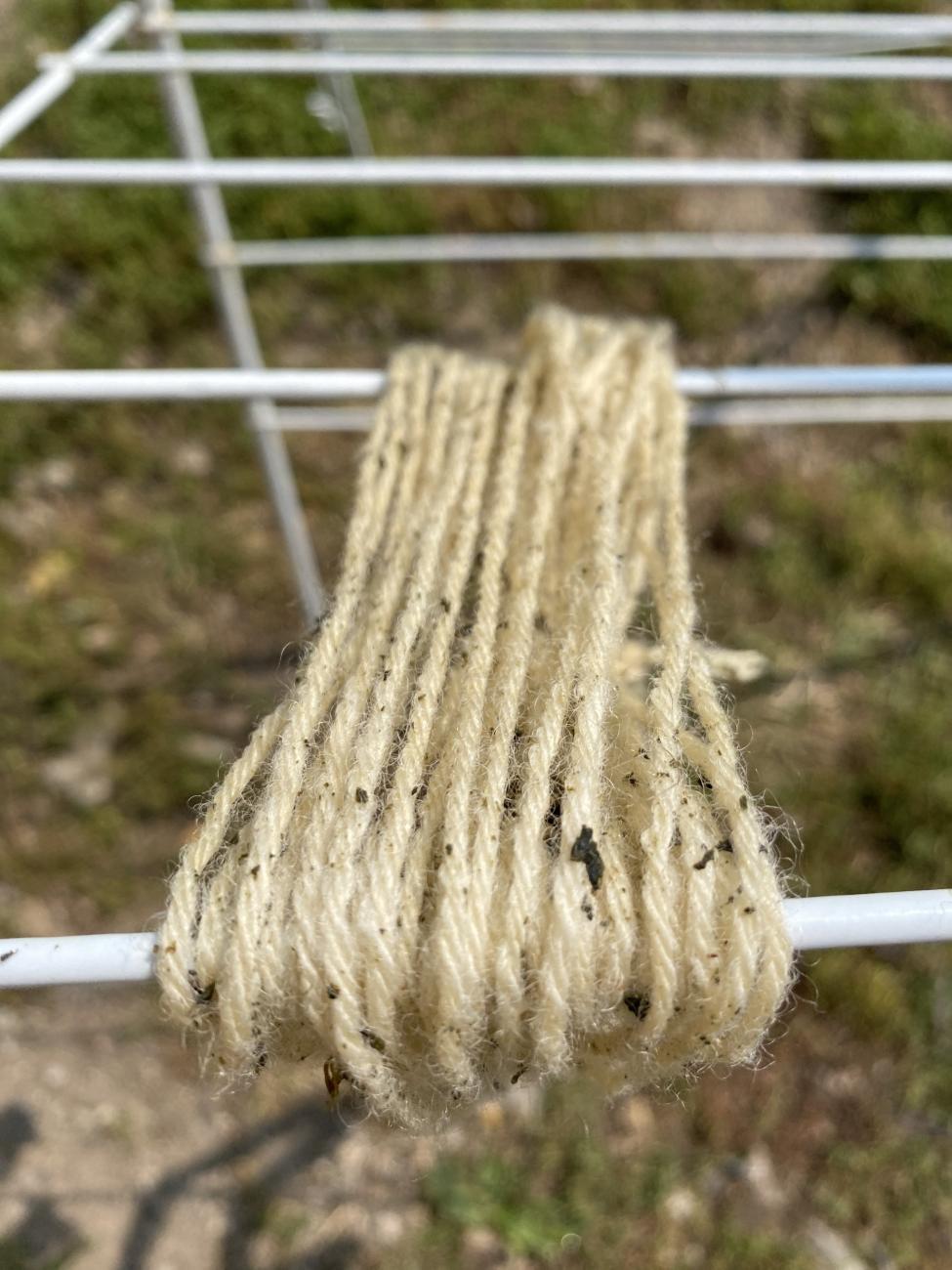 Adventures in Woad: Woad Dyeing in the Ancient, Medieval, and Modern ...