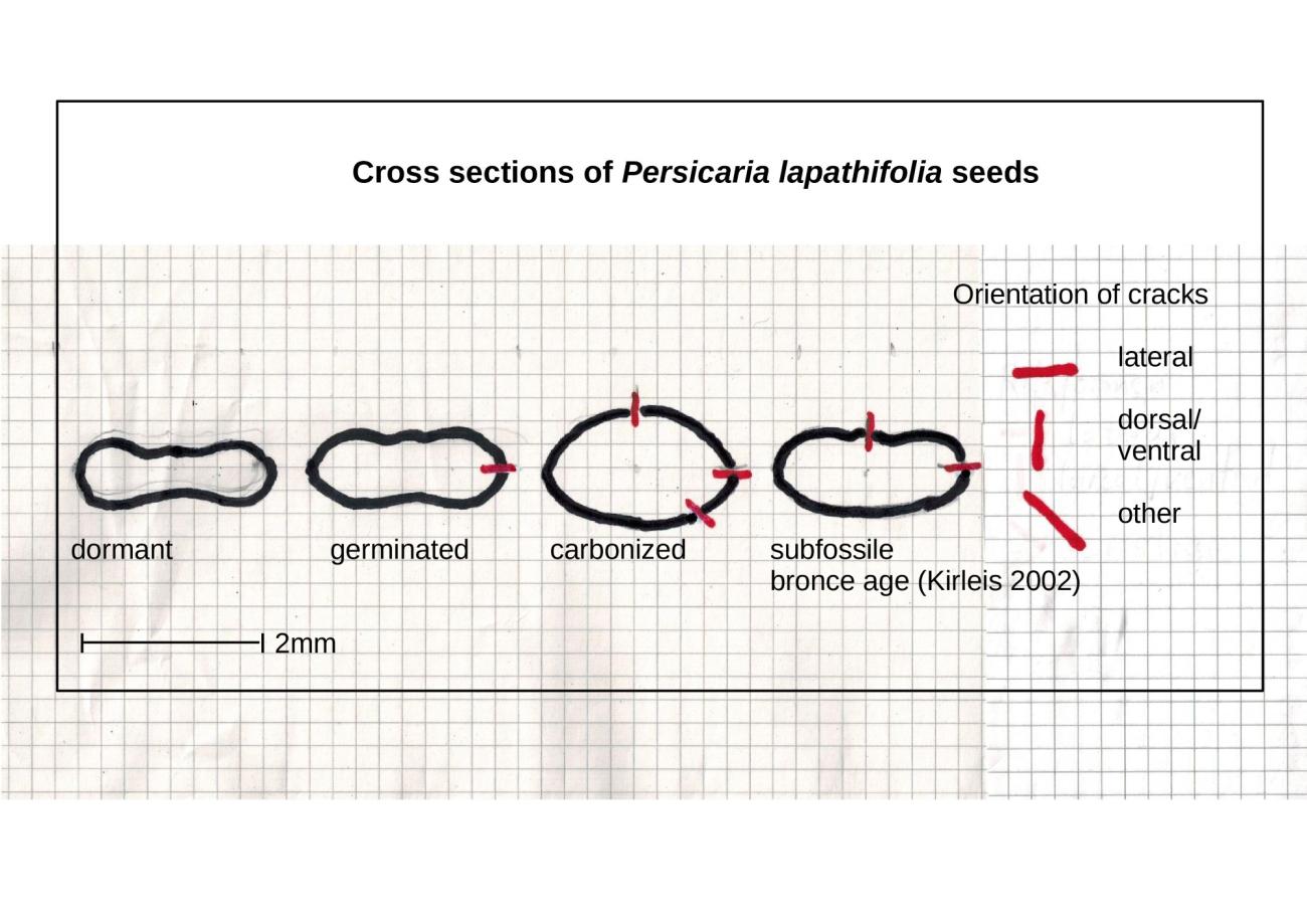 Pit Preserve from Ida – on the Problem of Charred Seeds from ...