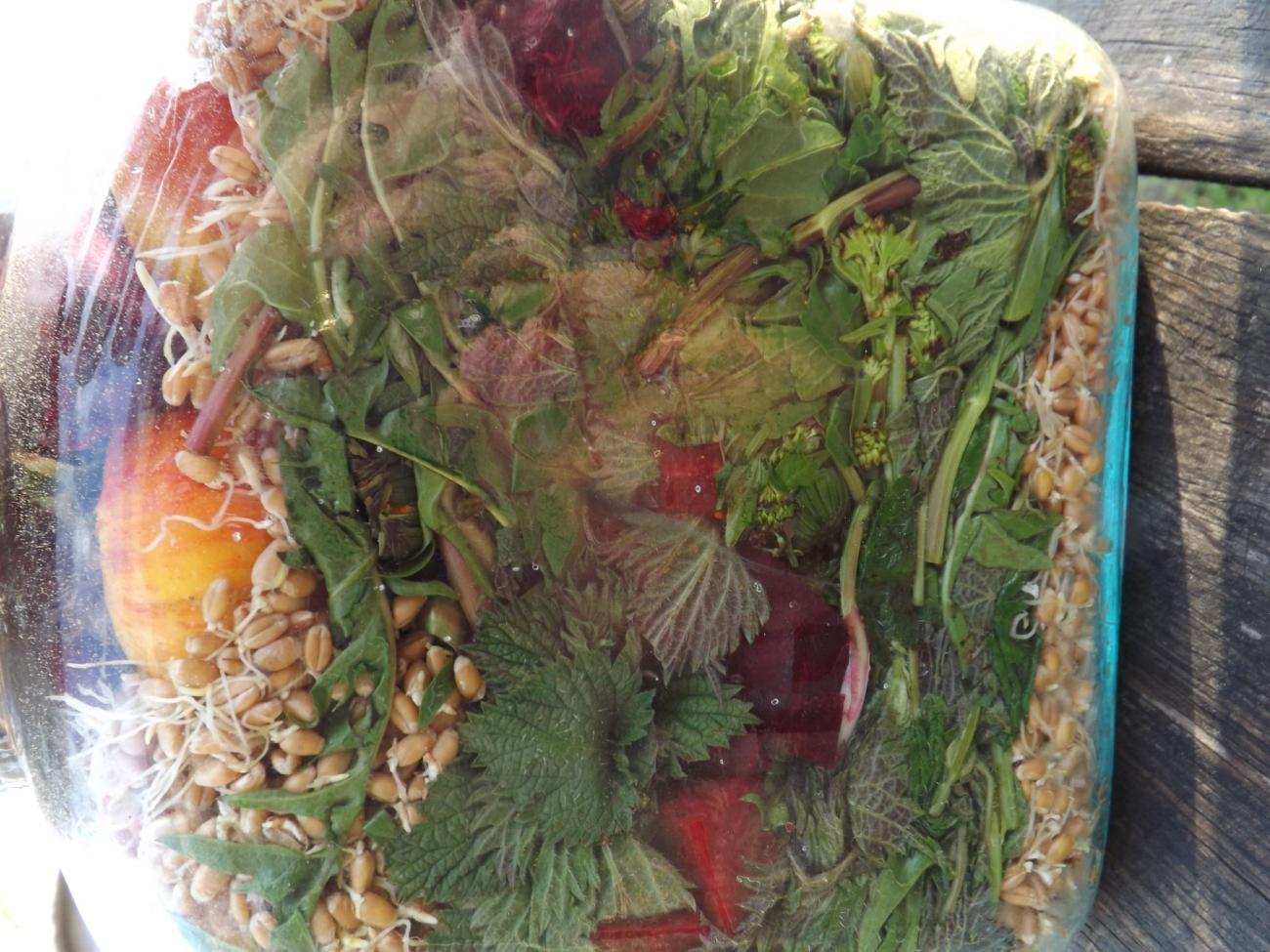 Pit Preserve from Ida – on the Problem of Charred Seeds from ...