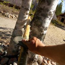 Neolithic Bow Build at Kierikki Stone Age Centre (FI) | EXARC