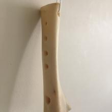 Early Medieval Bone Pipes: Understanding the Sounds of These ...