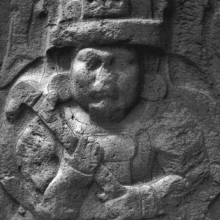 Function Follows Form: Assessing the Functionality of Shells and ...