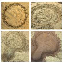 An Experimental Approach to Tannur Ovens and Bread Making in the ...