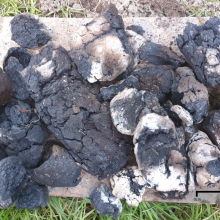 Peat Burns: The Methods and Implications of Peat Charcoaling | EXARC